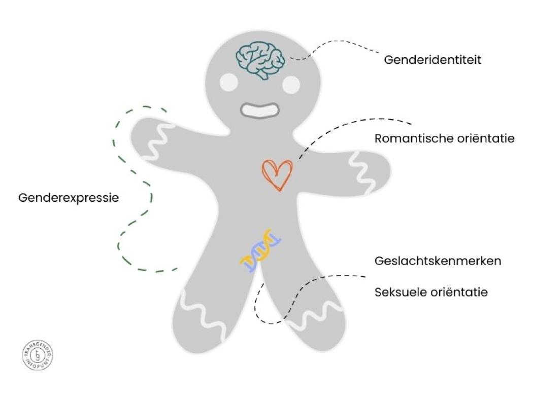 Genderkoek | Transgenderinfo
